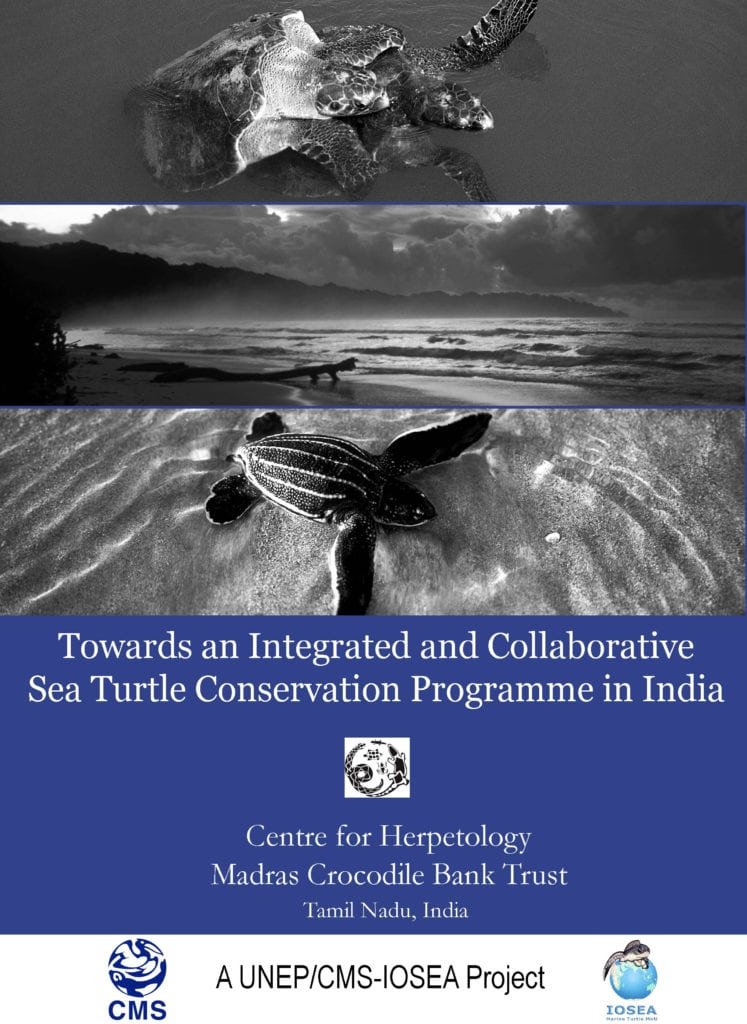 Reports - Sea Turtles of India