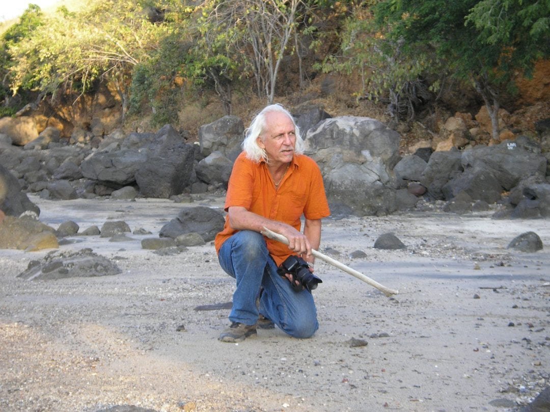 Romulus Whitaker - Sea Turtles of India