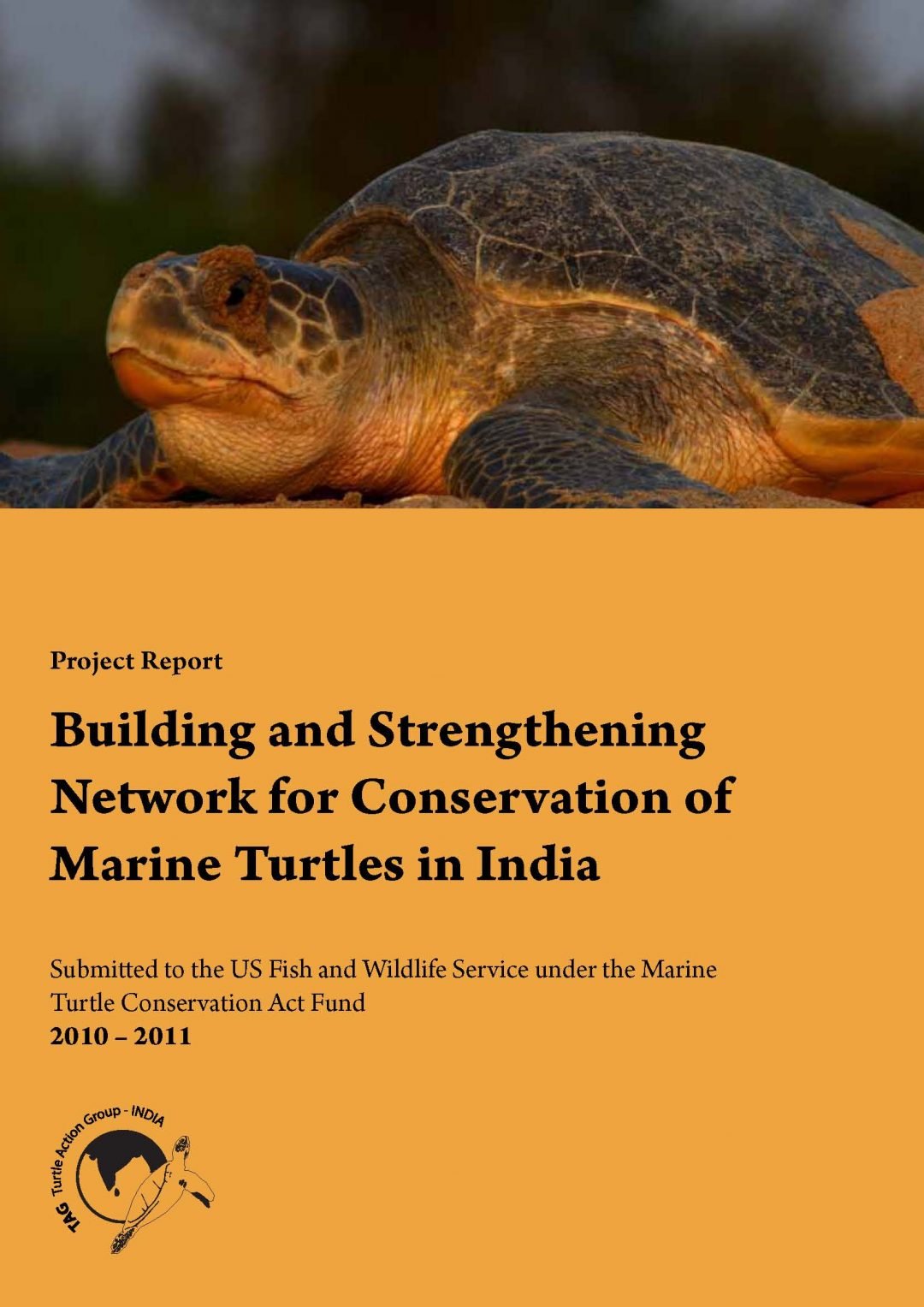 Reports - Sea Turtles of India