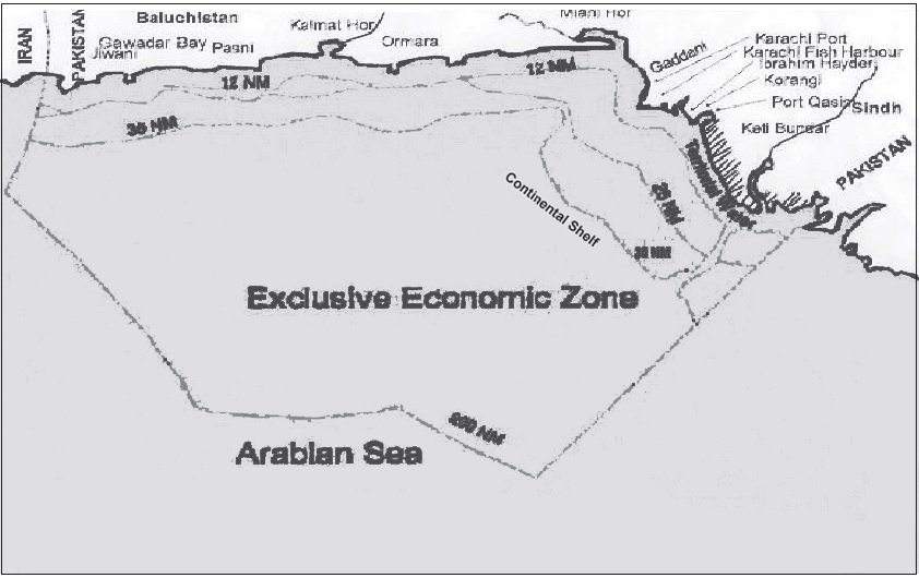Pakistan - Sea Turtles of India