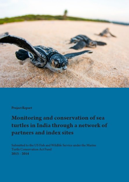 Reports - Sea Turtles of India