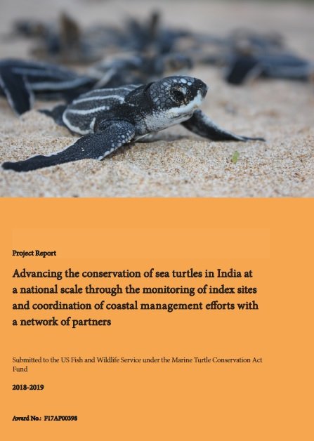 Reports - Sea Turtles of India