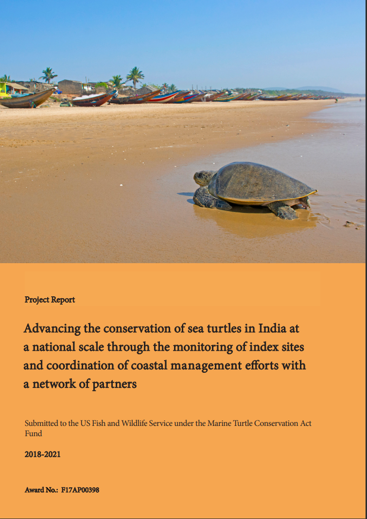 Reports - Sea Turtles of India
